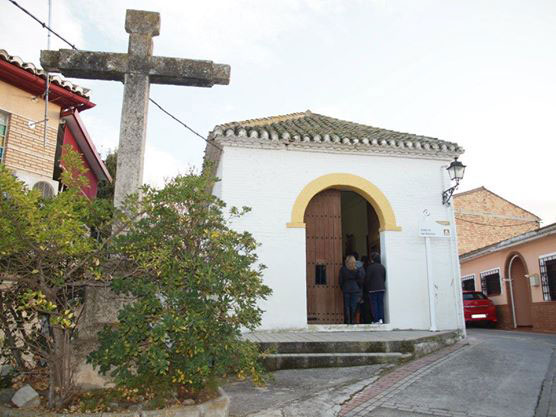 Alhendín hoy | Web oficial de Excmo. Ayuntamiento de Alhendín