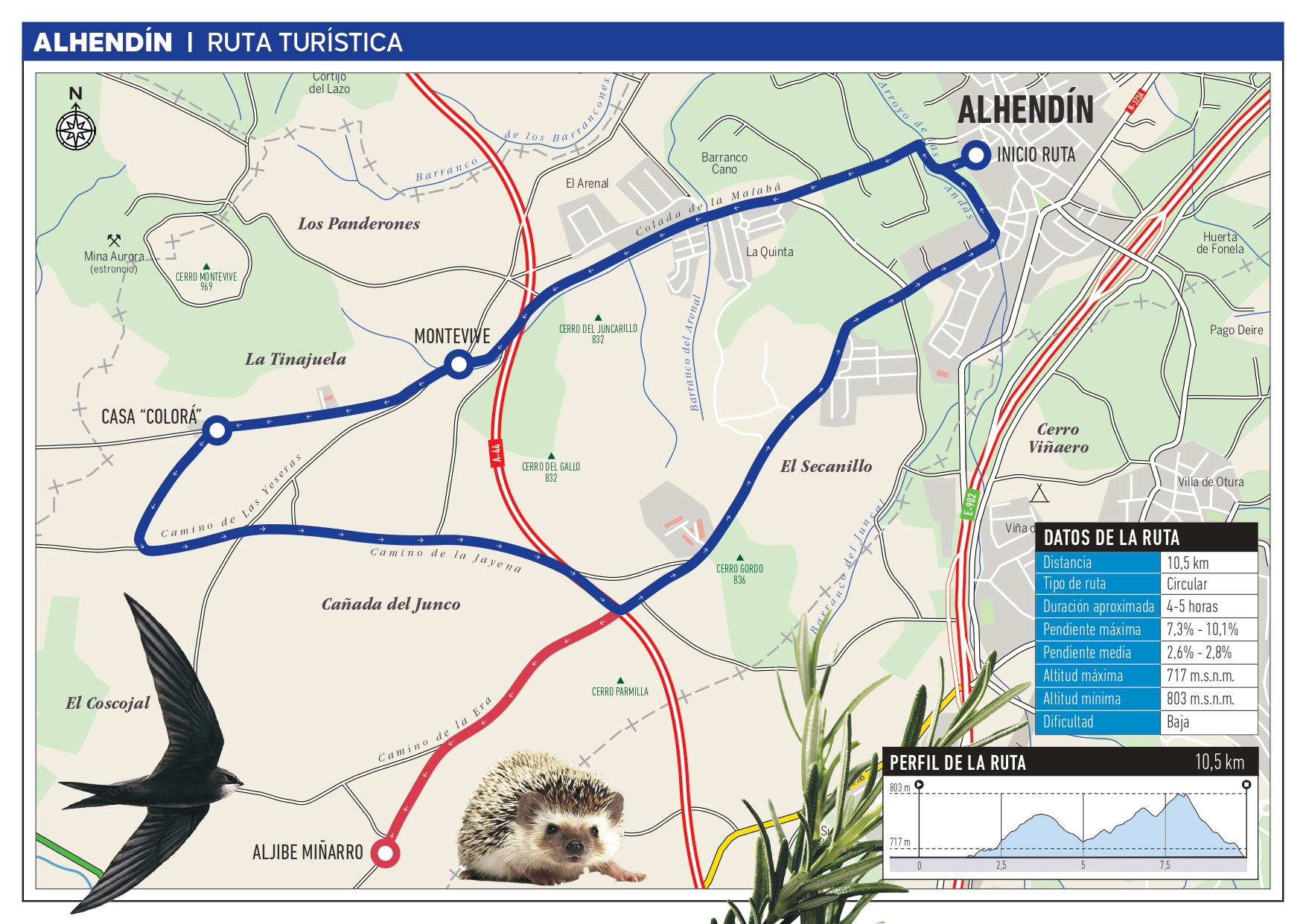 ALHENDÍN TRÍPTICO_page-0002 | Web oficial de Excmo. Ayuntamiento de ...